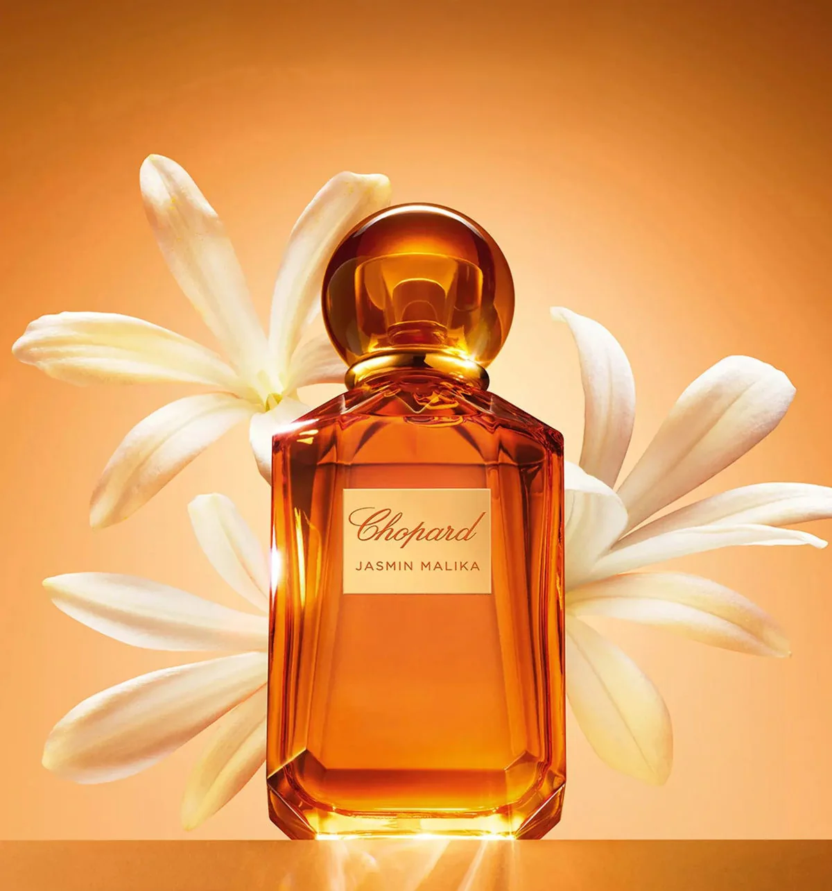 About us - Give Back Beauty